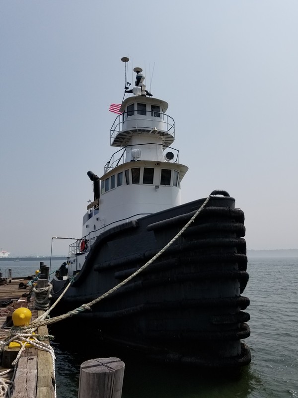 Twin Screw Model Bow Tug