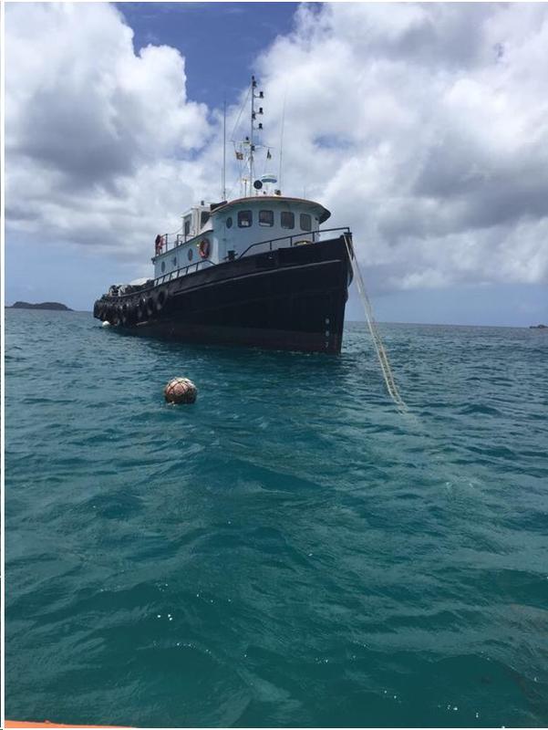 Twin Screw Utility-Multi purpose Boat